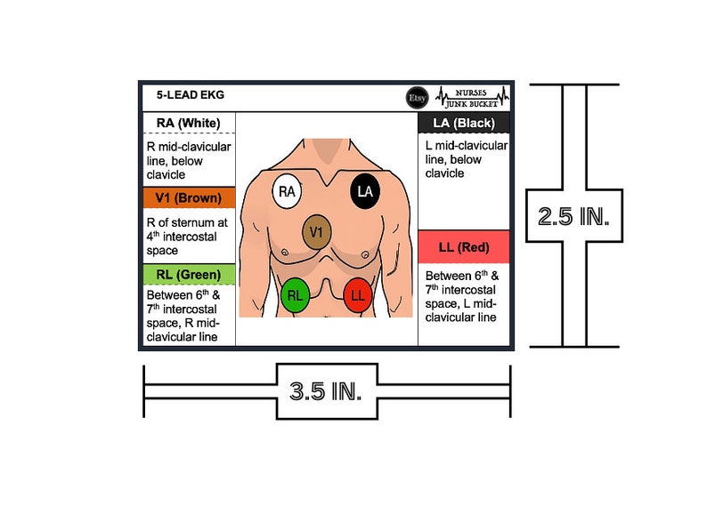 Badge Buddy 5 Lead EKG - Etsy
