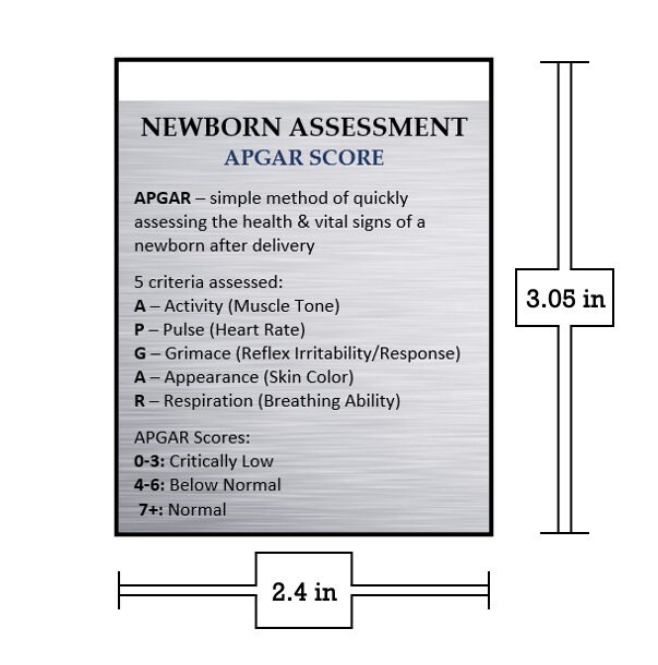 APGAR Digital Download Badge Buddy - Etsy