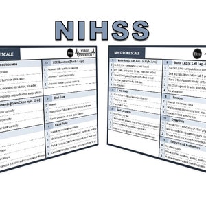 Badge Buddy - NIHSS - Etsy