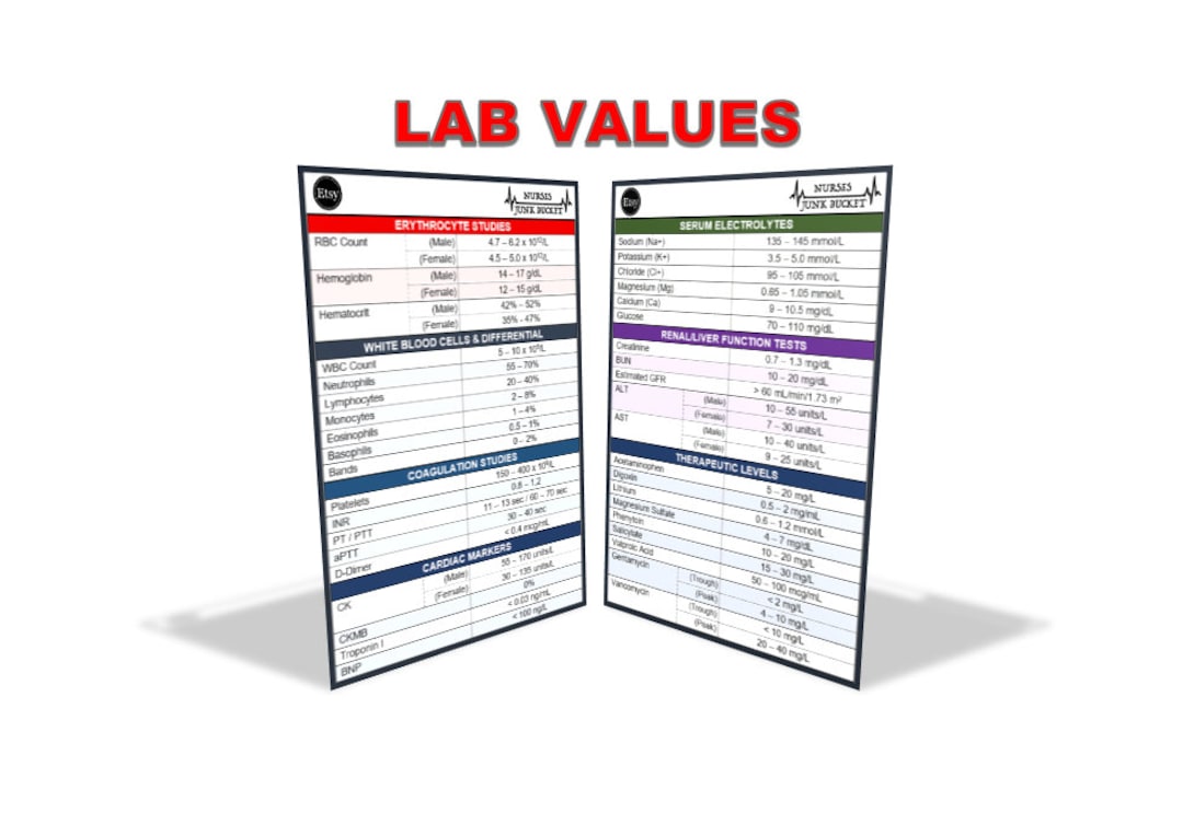 Badge Buddy - Lab Values - Etsy