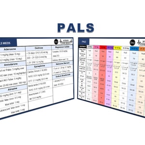 Badge Buddy - PALS - Etsy