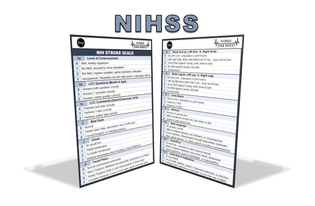 NIHSS Digital Download Badge Buddy - Etsy