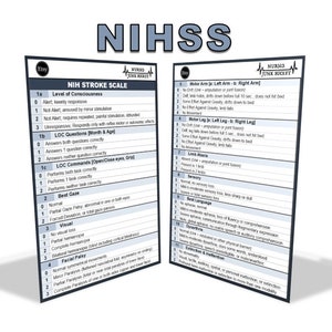 NIHSS Digital Download Badge Buddy - Etsy