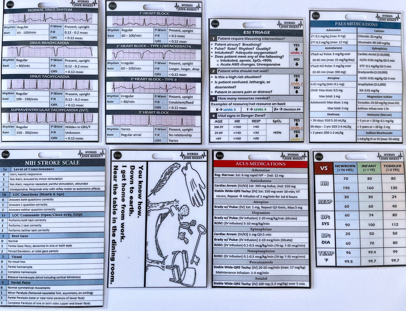 Badge Buddy ER Bundle 1: Acls Pals Nihss Ekg Triage Vital - Etsy