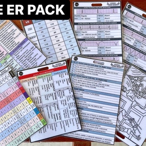 Badge Buddy ER Bundle 1: Acls Pals Nihss Ekg Triage Vital - Etsy