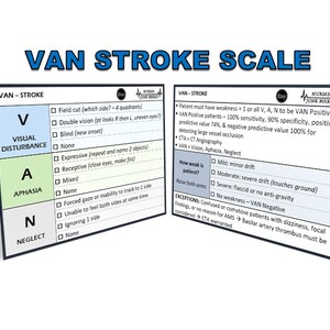 Badge Buddy - VAN Assessment - Etsy