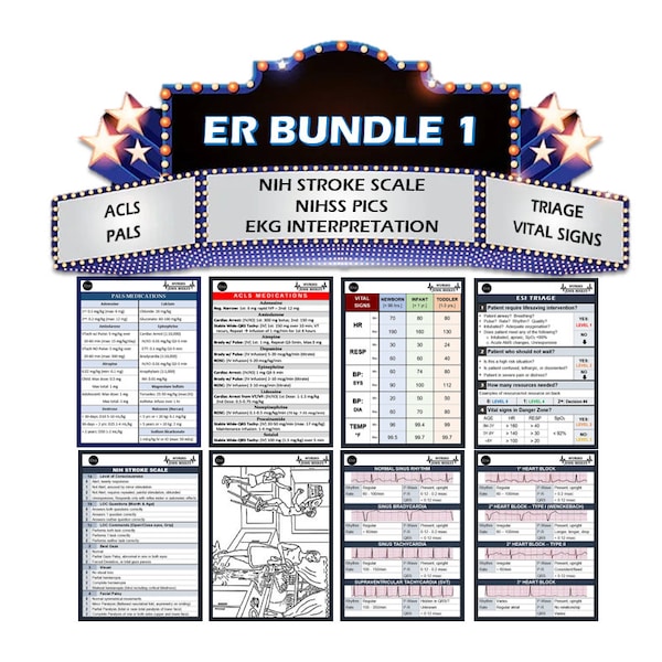 Vital Signs Badge Buddy - Etsy