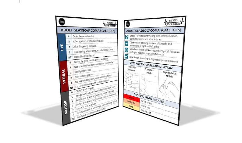 Glasgow Coma Scale Digital Download Badge Buddy - Etsy
