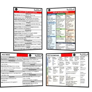 Badge Buddy ER Bundle 1: Acls Pals Nihss Ekg Triage Vital Signs - Etsy