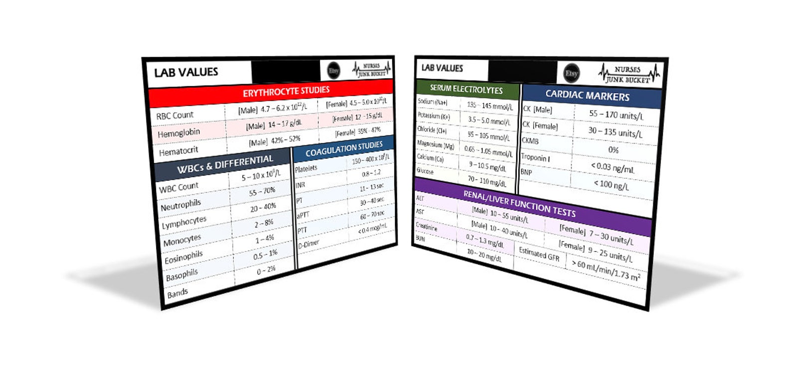 Badge Buddy Lab Values - Etsy