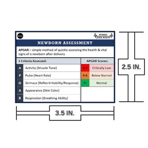 Badge Buddy - APGAR - Etsy