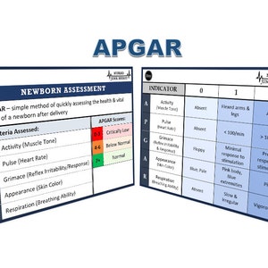 Badge Buddy - APGAR - Etsy