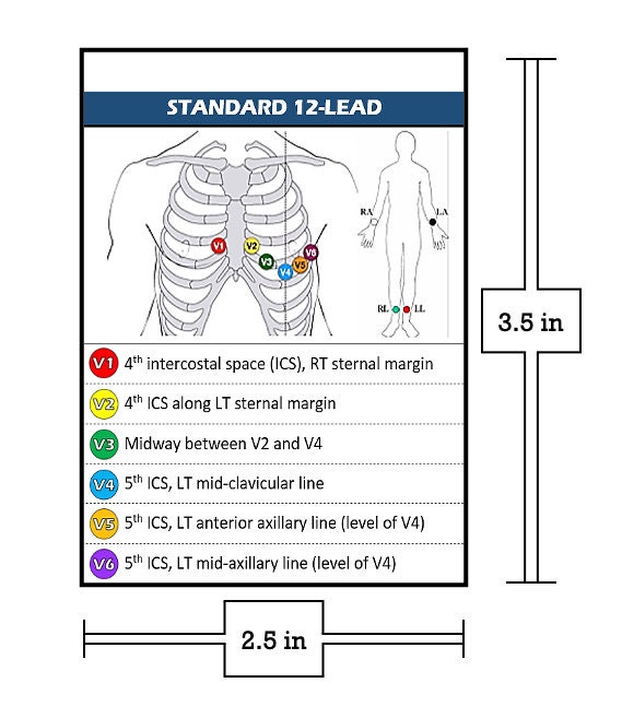 EKG Leads Digital Download Badge Buddy - Etsy