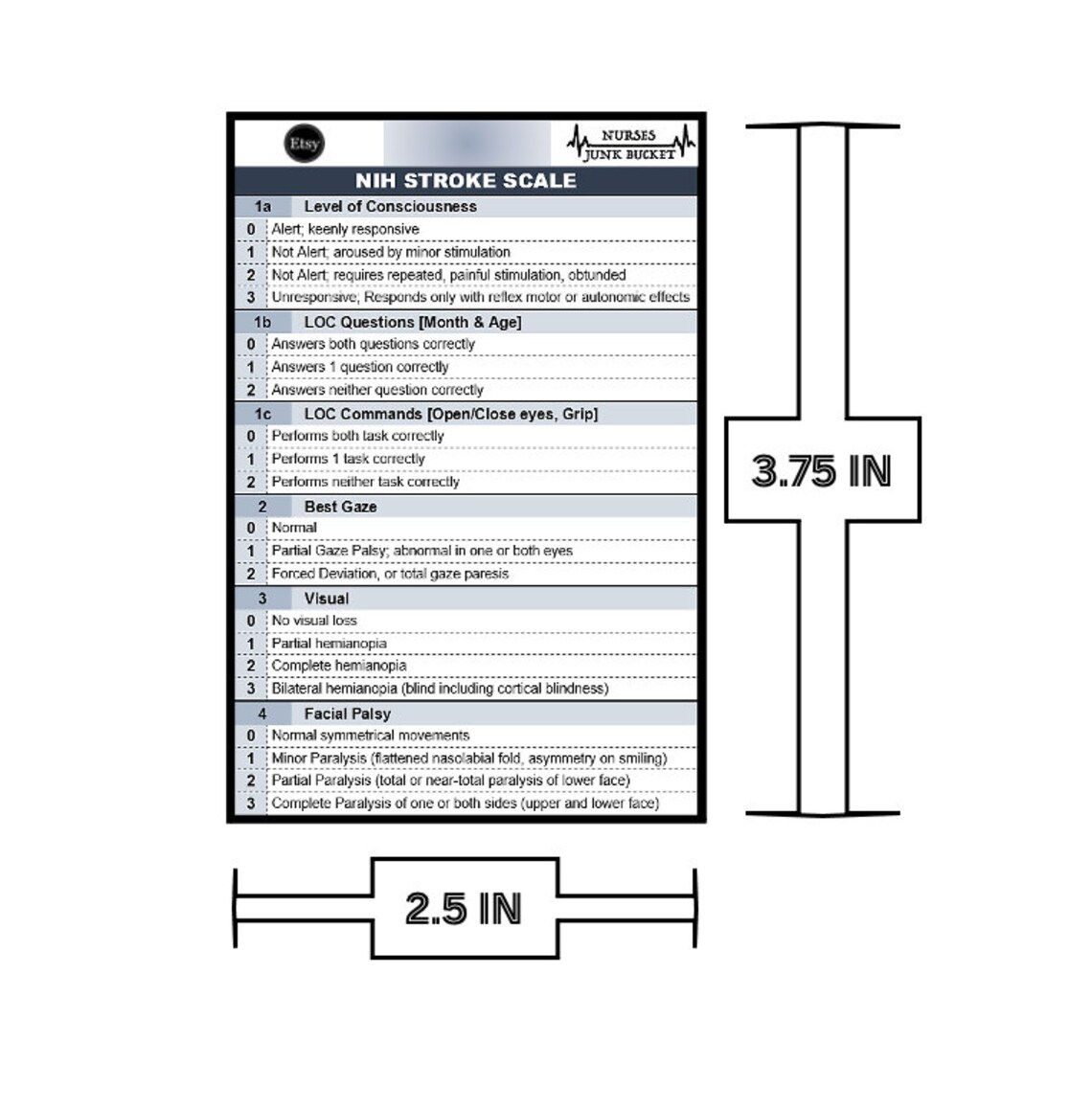 NIHSS Digital Download Badge Buddy - Etsy