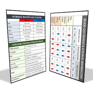 Abg/ventilator Digital Download Badge Buddy - Etsy