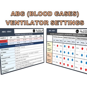 Badge Buddy - Abg/ventilator - Etsy