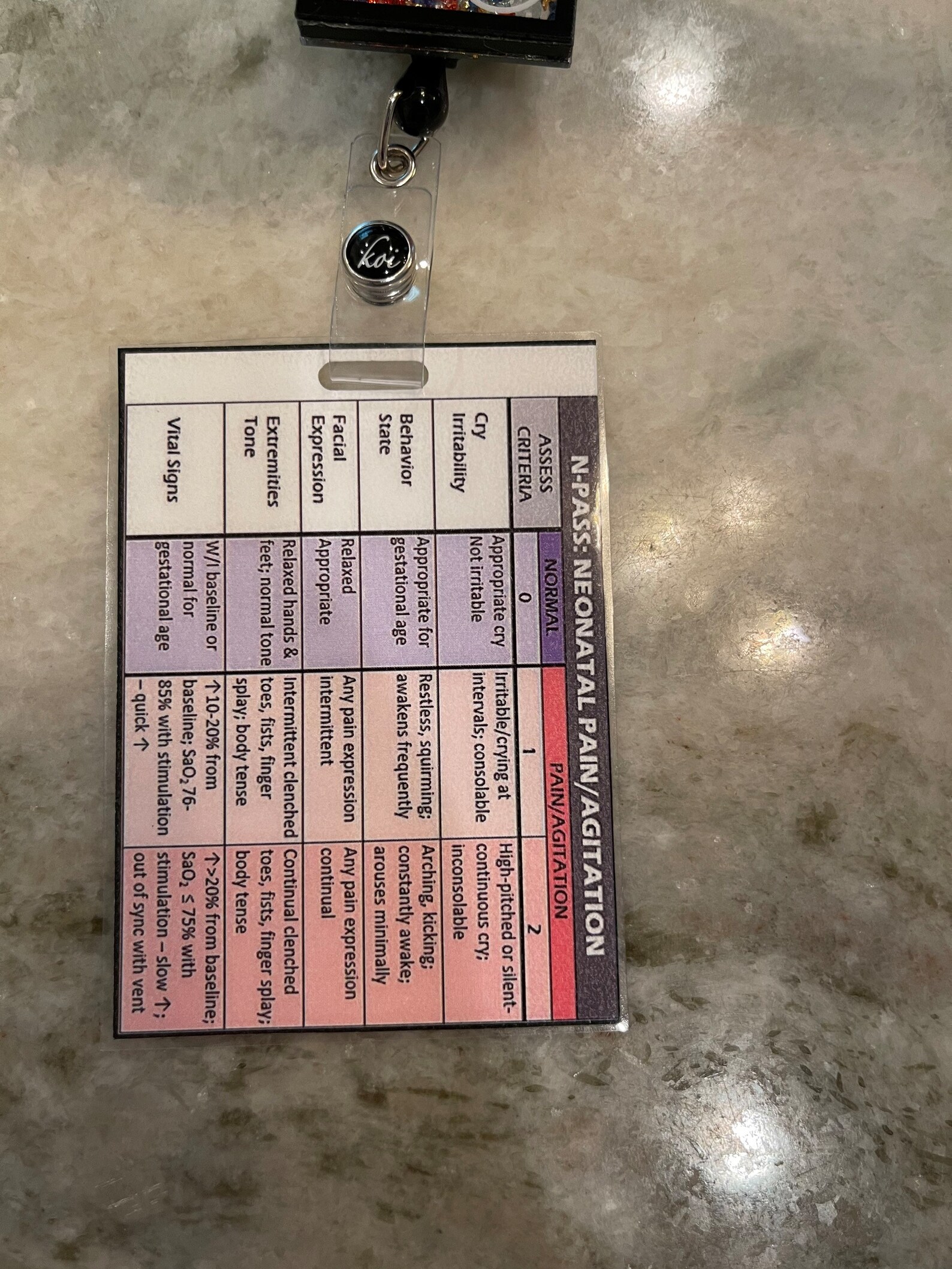 Badge Buddy Pain Scale: FLACC & NPASS - Etsy