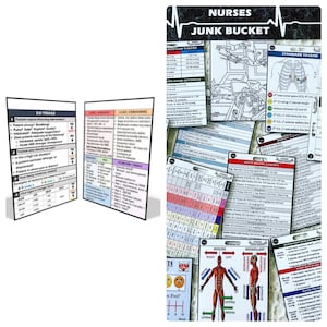 Badge Buddy - ESI Triage - Etsy