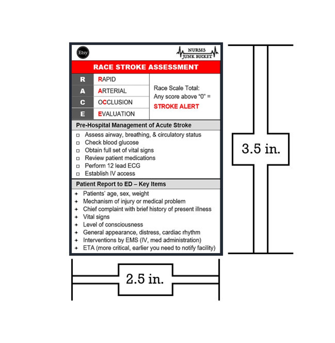 Badge Buddy RACE Stroke Assessment - Etsy