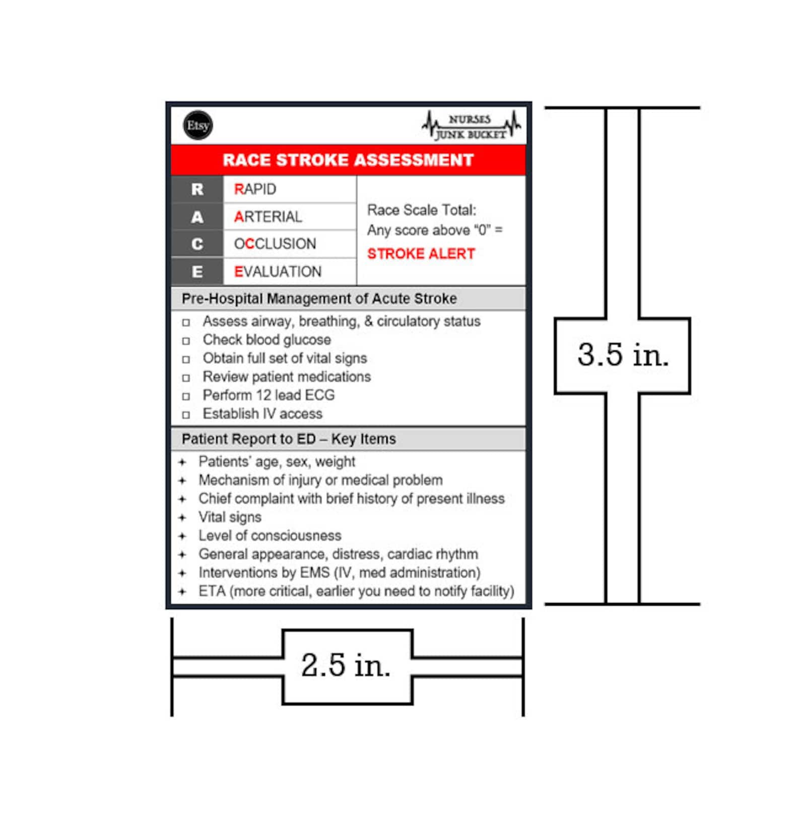 Badge Buddy RACE Stroke Assessment - Etsy