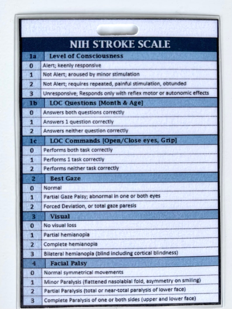 Badge Buddy NIHSS - Etsy