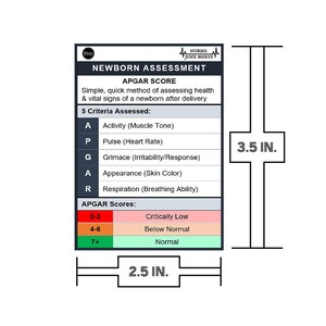 Badge Buddy - APGAR - Etsy