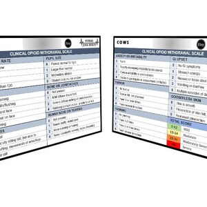 Clinical Opioid Withdrawal Scale (COWS) Digital Download Badge Buddy - Etsy