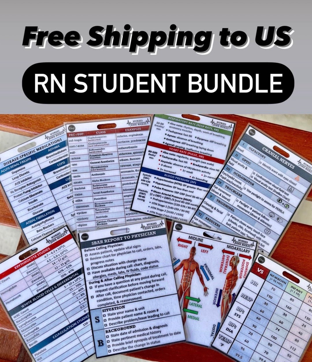 RN Student Bundle Badge Buddies Vital Signs Anatomical - Etsy