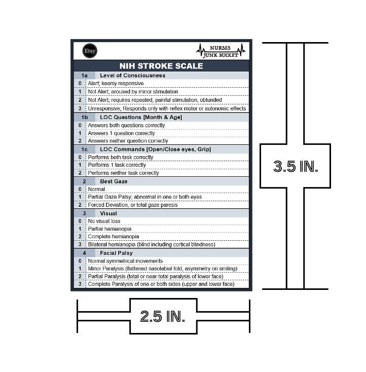 NIHSS Digital Download Badge Buddy - Etsy