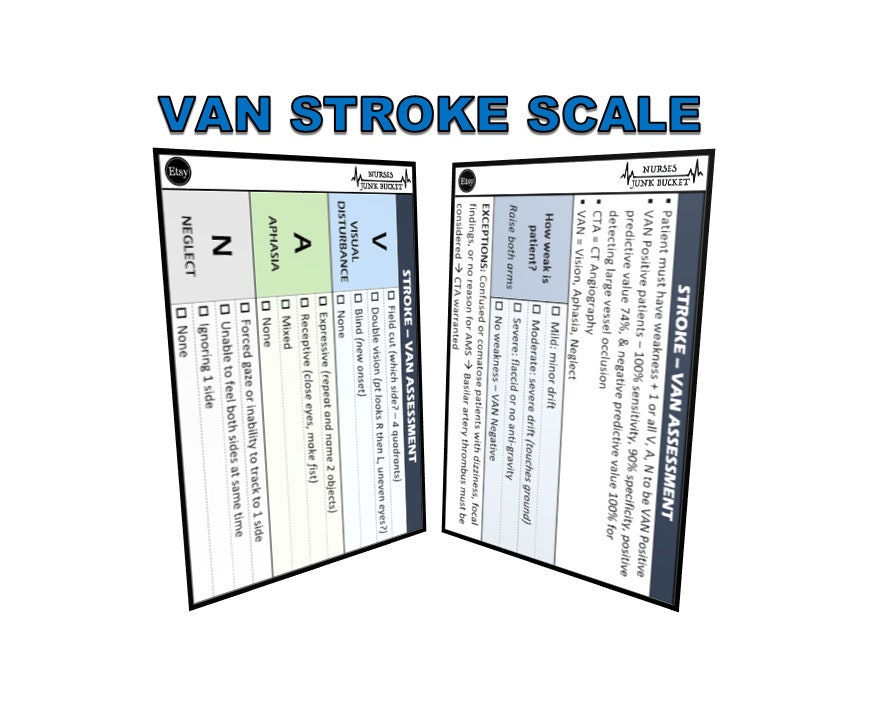 VAN Assessment Digital Download Badge Buddy - Etsy