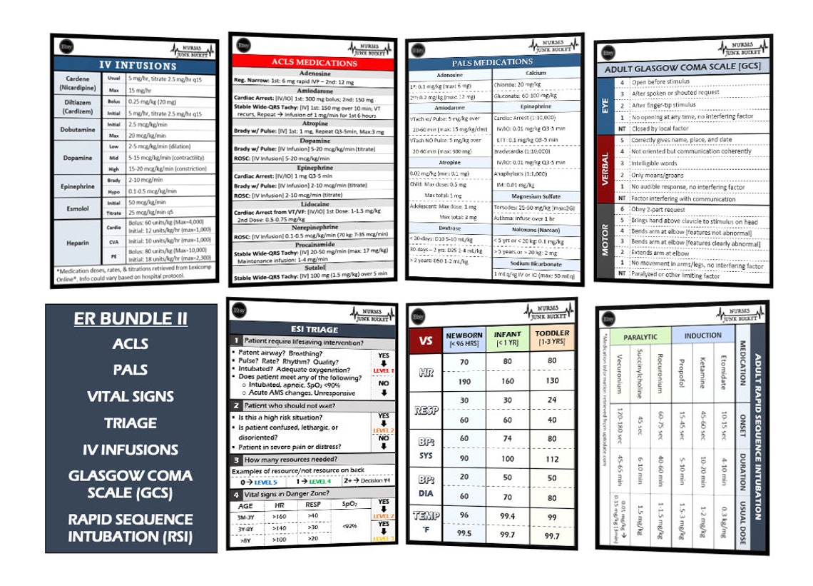 Badge Buddy ER Bundle 2: Acls Pals Triage Vital Signs Rsi Iv - Etsy