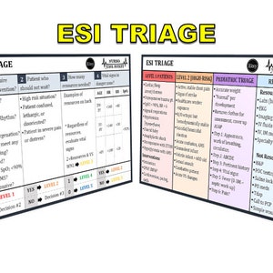 Badge Buddy - ESI Triage - Etsy