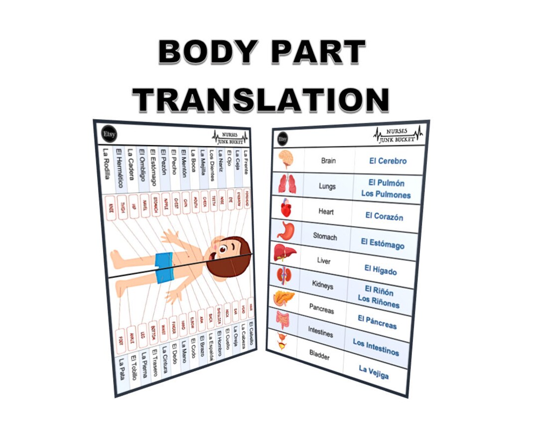 Badge Buddy - Body Part Translation - Etsy