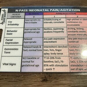 Badge Buddy - Pain Scale: FLACC, PIPP, & NPASS - Etsy