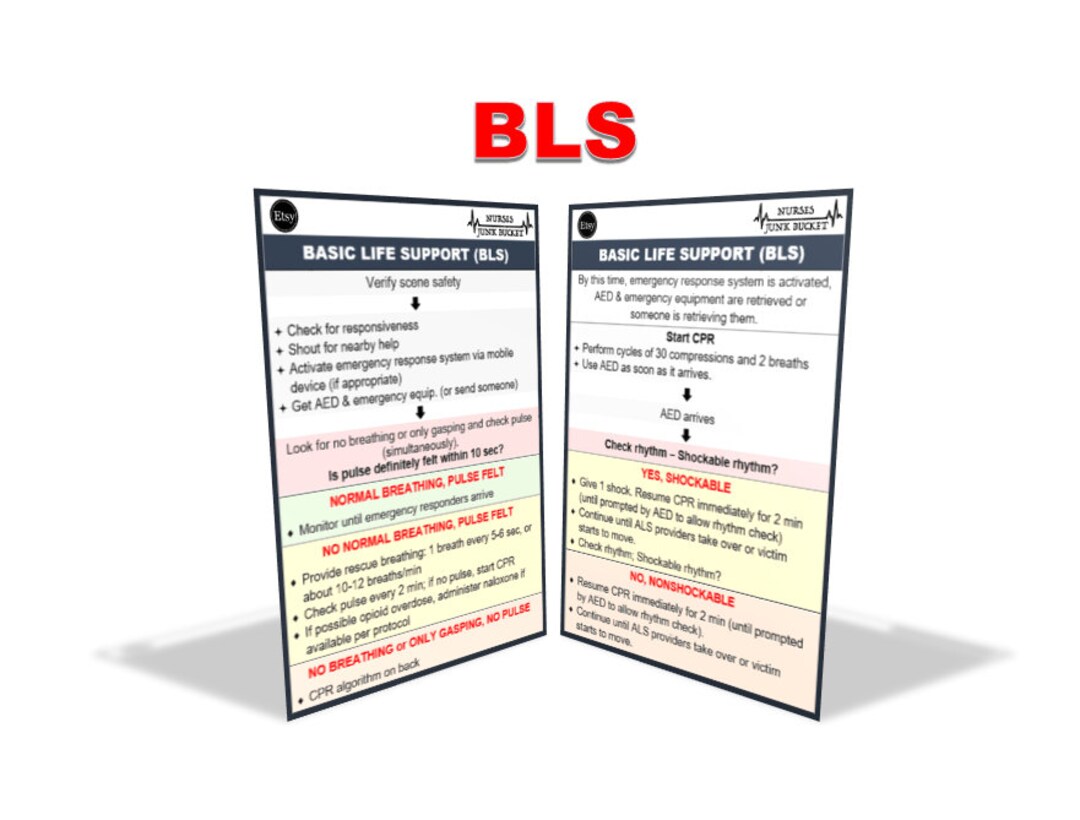 Badge Buddy - BLS - Etsy