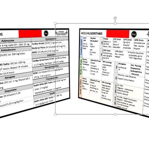 Badge Buddy ACLS - Etsy