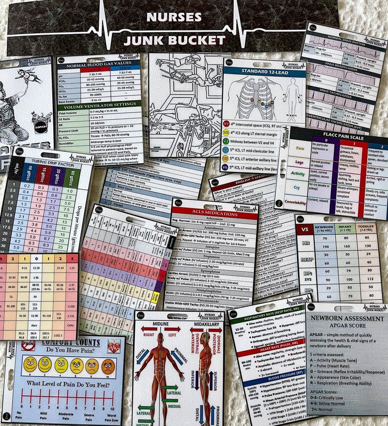 ACLS Digital Download Badge Buddy - Etsy