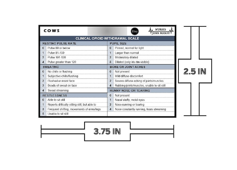 Badge Buddy Clinical Opioid Withdrawal Scale COWS - Etsy