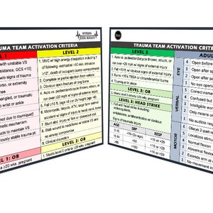 Badge Buddy - Trauma Activation - Etsy