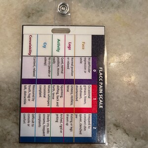 Pain Scale: FLACC & NPASS Digital Download Badge Buddy - Etsy