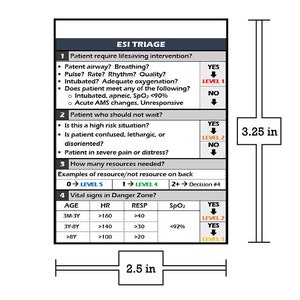 Badge Buddy ESI Triage - Etsy