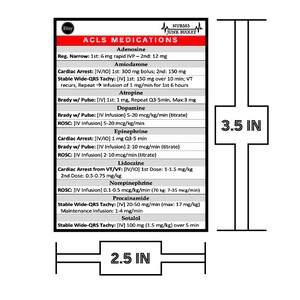 Badge Buddy ACLS - Etsy