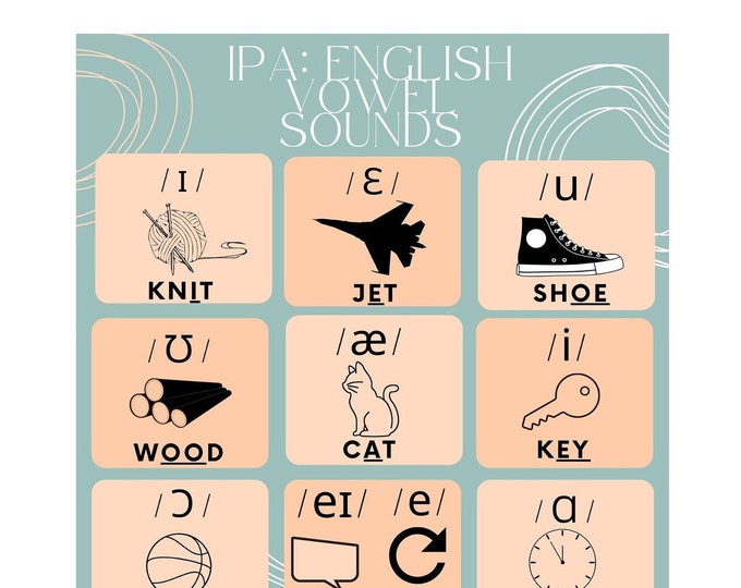 English IPA Vowels Poster With Examples. Simple and Organized. Digital ...