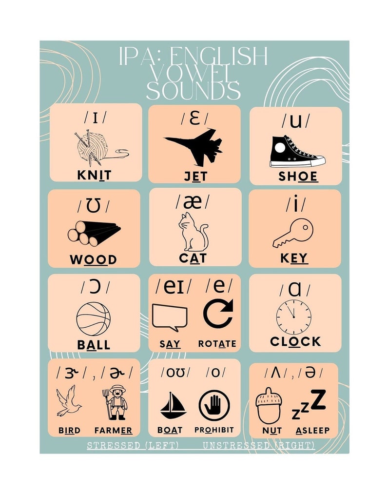 English IPA Vowels Poster With Examples. Simple and Organized. - Etsy