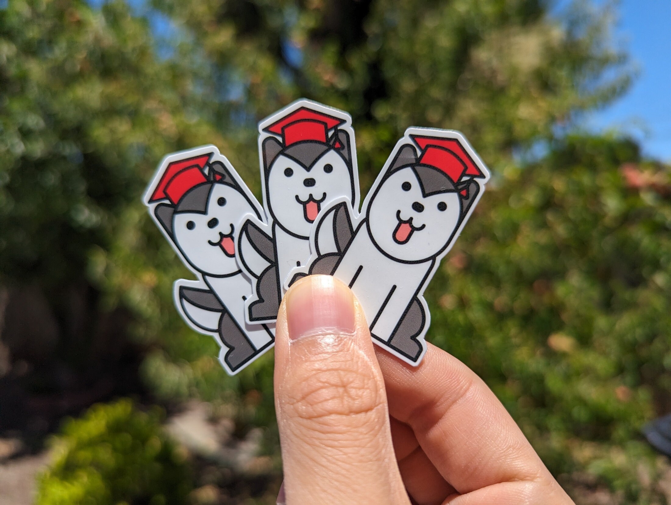Graduating Husky, Set of 6, Cute Gift for NEU College Students, Laptop ...