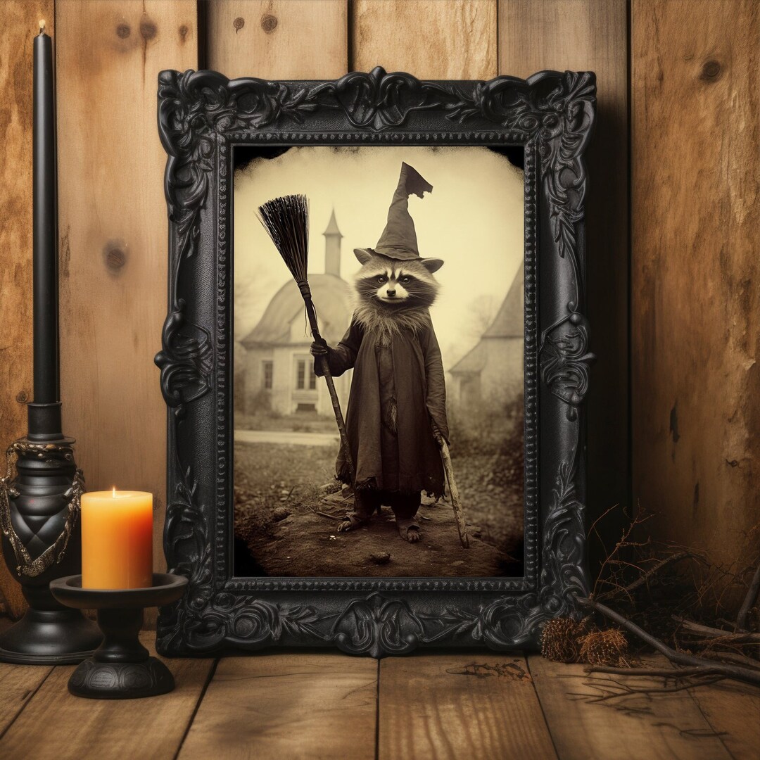 Raccoon Gothic Witch Eerie Victorian Vintage Sepia Photo, Halloween ...