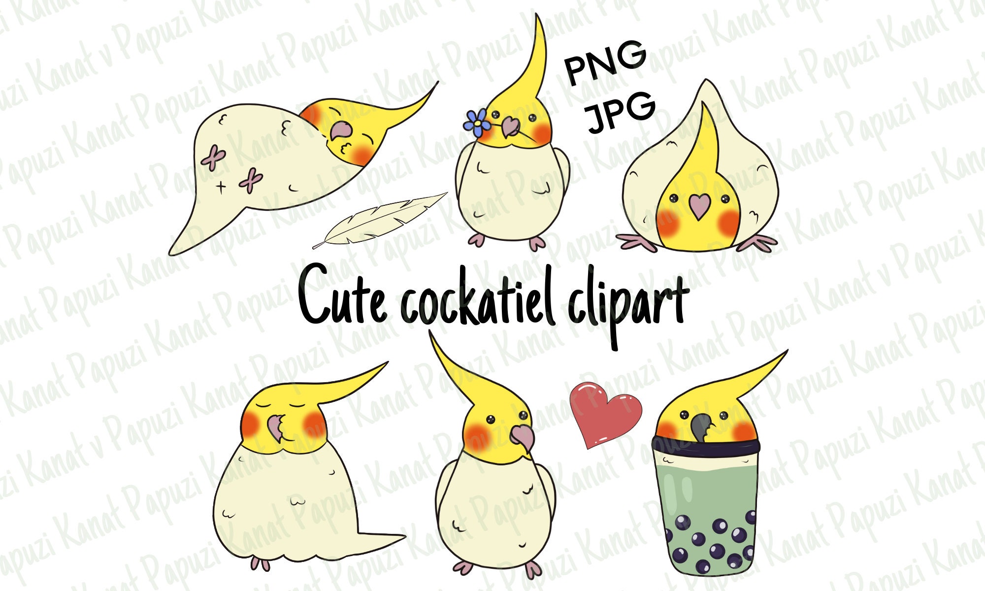 Cute Kawaii Cockatiel Clipart Set. Clipart Good Quality, PNG, JPG, 300 ...