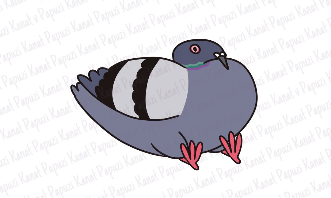 Chubby Chonky Pigeon Cartoon Clipart Cute and Funny, 300 DPI, PNG - Etsy