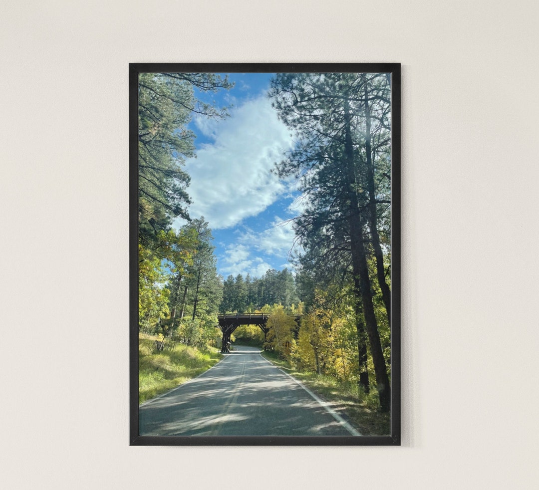 Fall Scene Custer State Park Iron Mountain Road South Dakota Fall ...