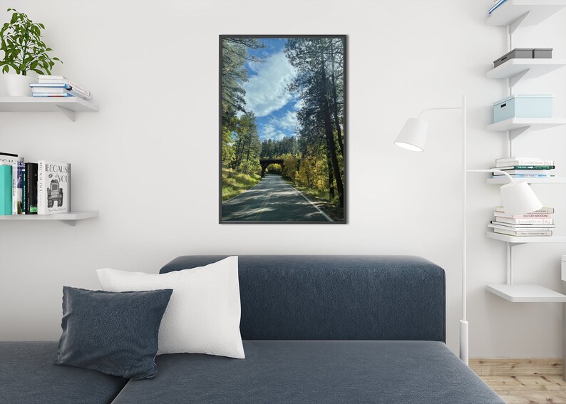 Fall Scene Custer State Park Iron Mountain Road South Dakota Fall ...